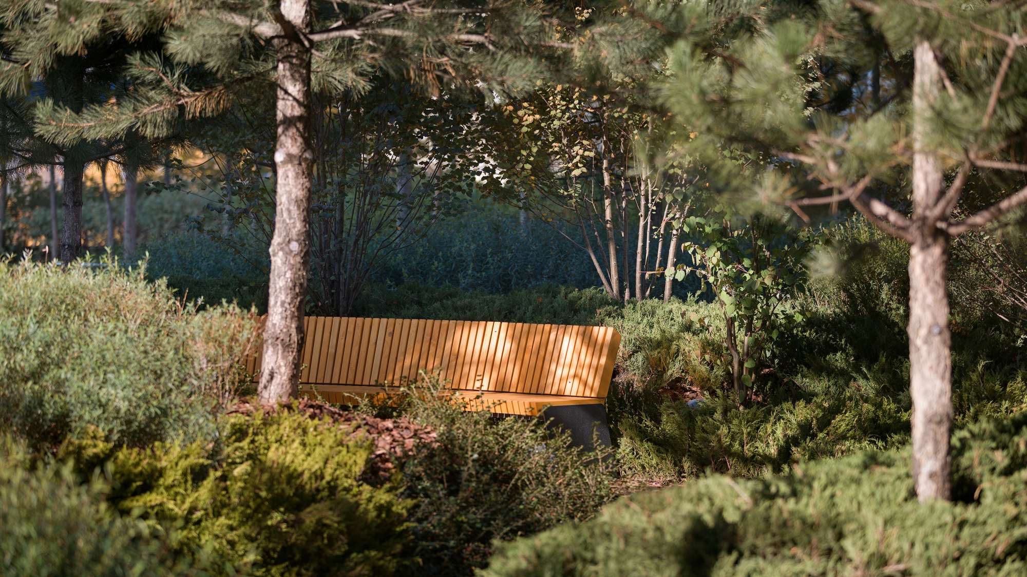 Tetris Hall – Podium Landscape - KOTSIUBA Landscape Architecture