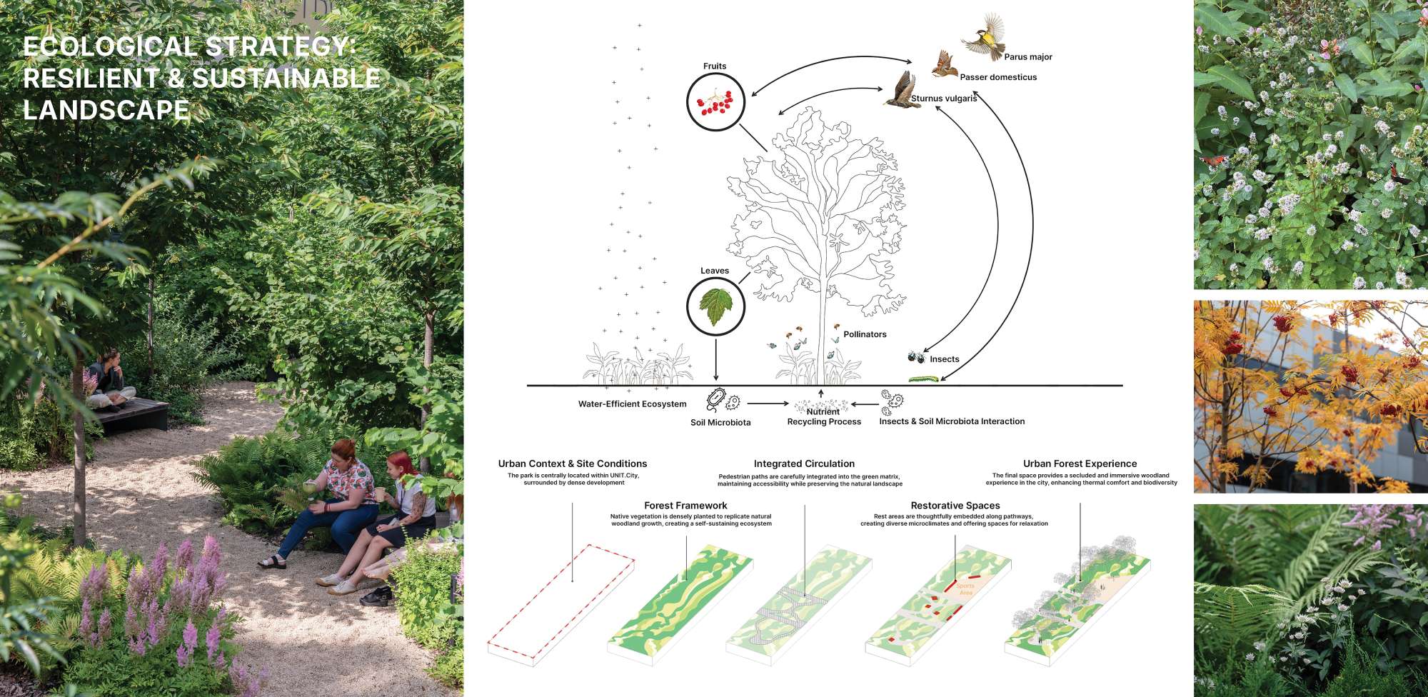 UNIT.City Innovation park in Kyiv - KOTSIUBA Landscape Architecture